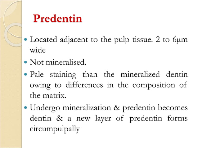 BDS first year Dentin presentation by SDM d | PPT