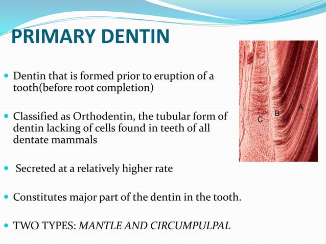 Dentin with emphasis on applied physiology and pathology | PPTX