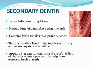 Dentin with emphasis on applied physiology and pathology | PPTX