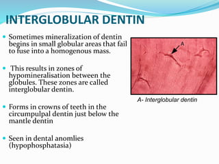 Dentin with emphasis on applied physiology and pathology | PPTX