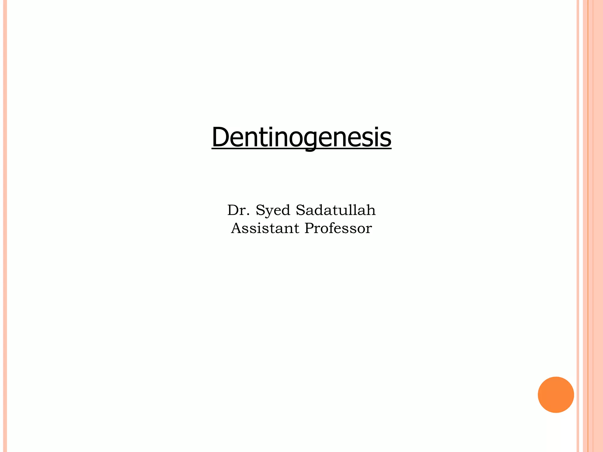 Dentinogenesis | PPT