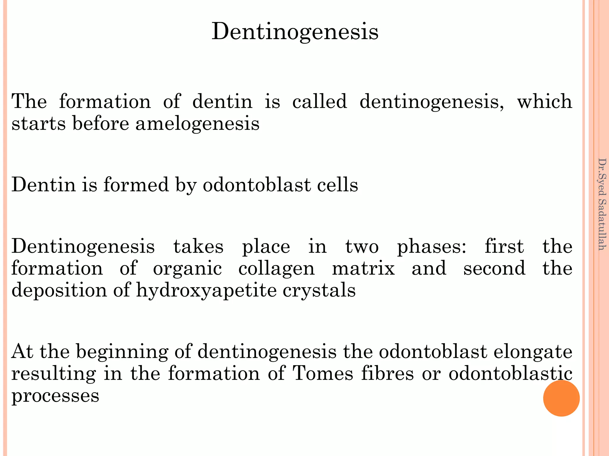 Dentinogenesis | PPT