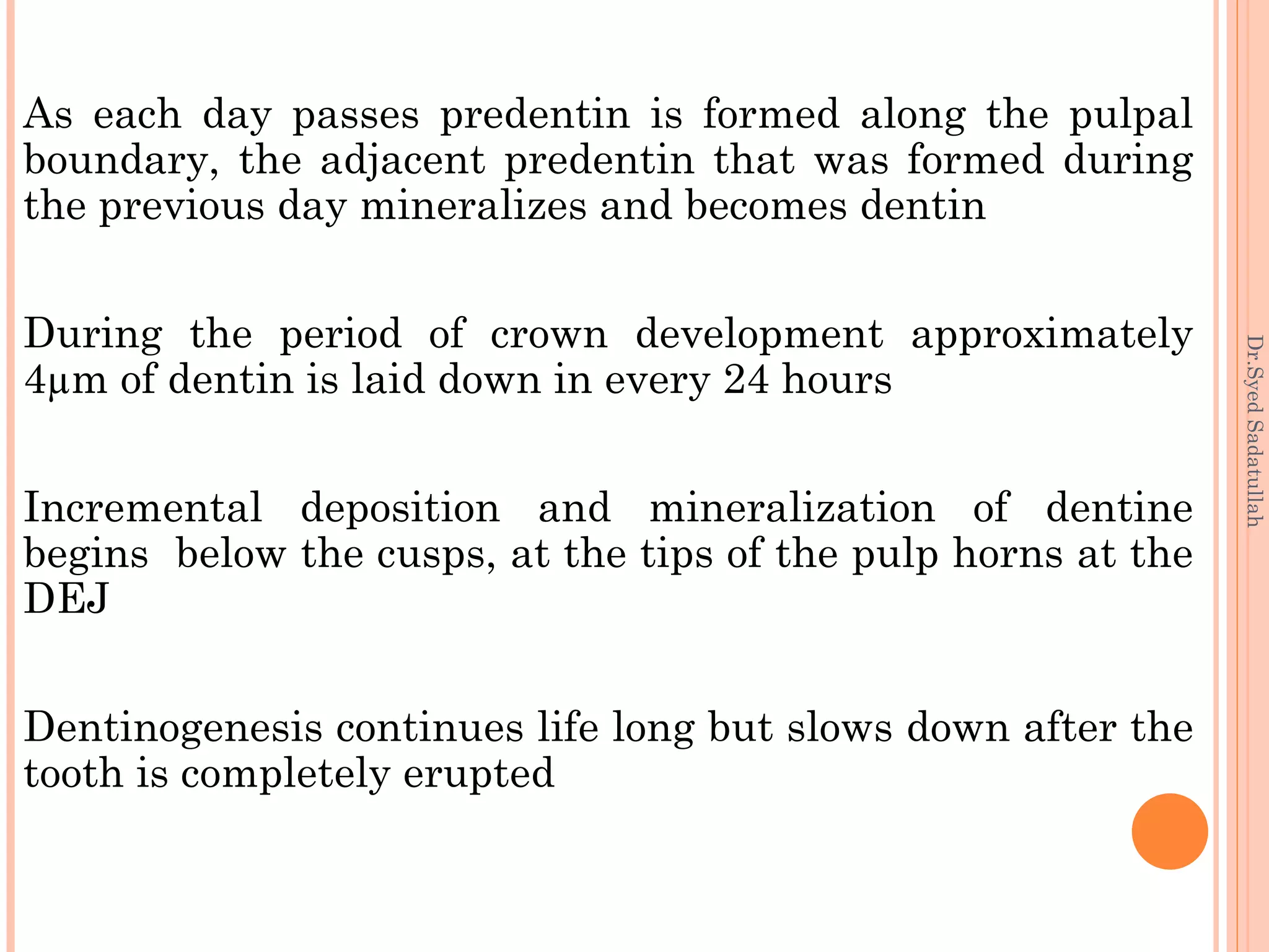 Dentinogenesis | PPT