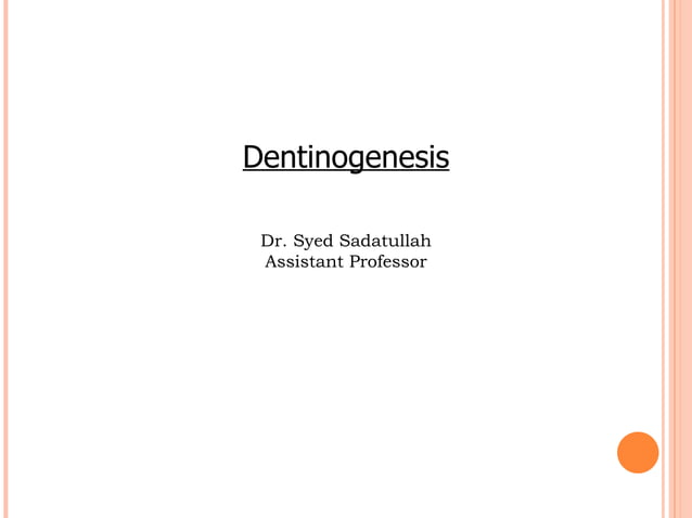 Dentinogenesis | PPT | Dental Health | Diseases and Conditions