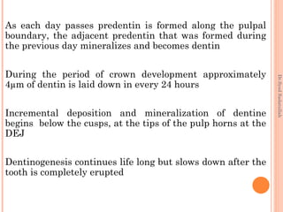 Dentinogenesis | PPT