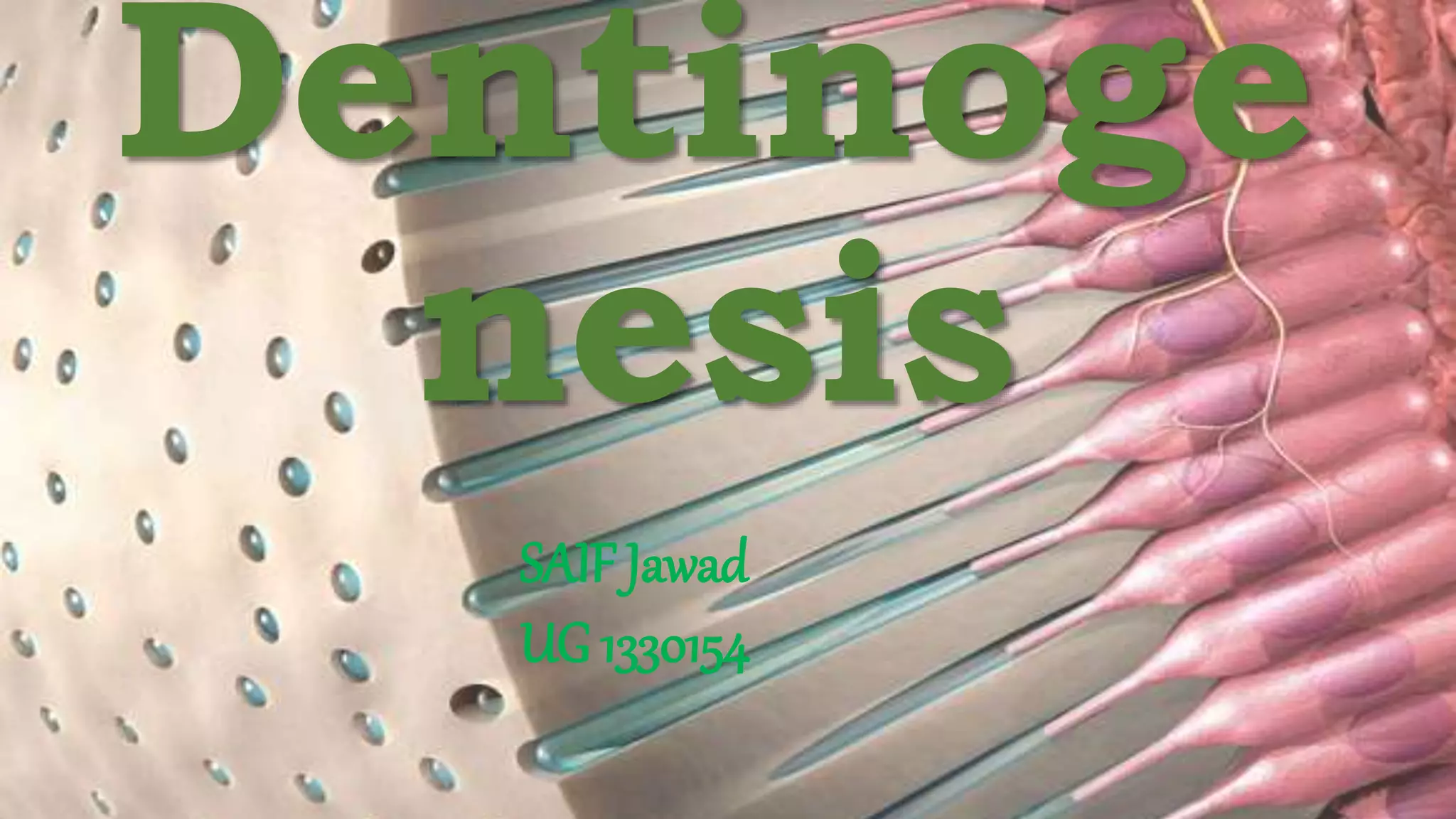 Dentinogenesis 170321150121 | PPTX