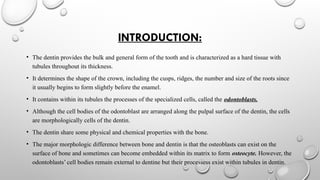 Dentinogenesis lectures for undergraduate students | PPTX