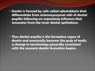 Dentinogenesis | PPT