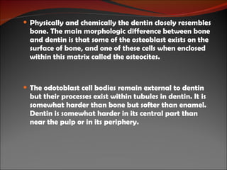 Dentinogenesis | PPT