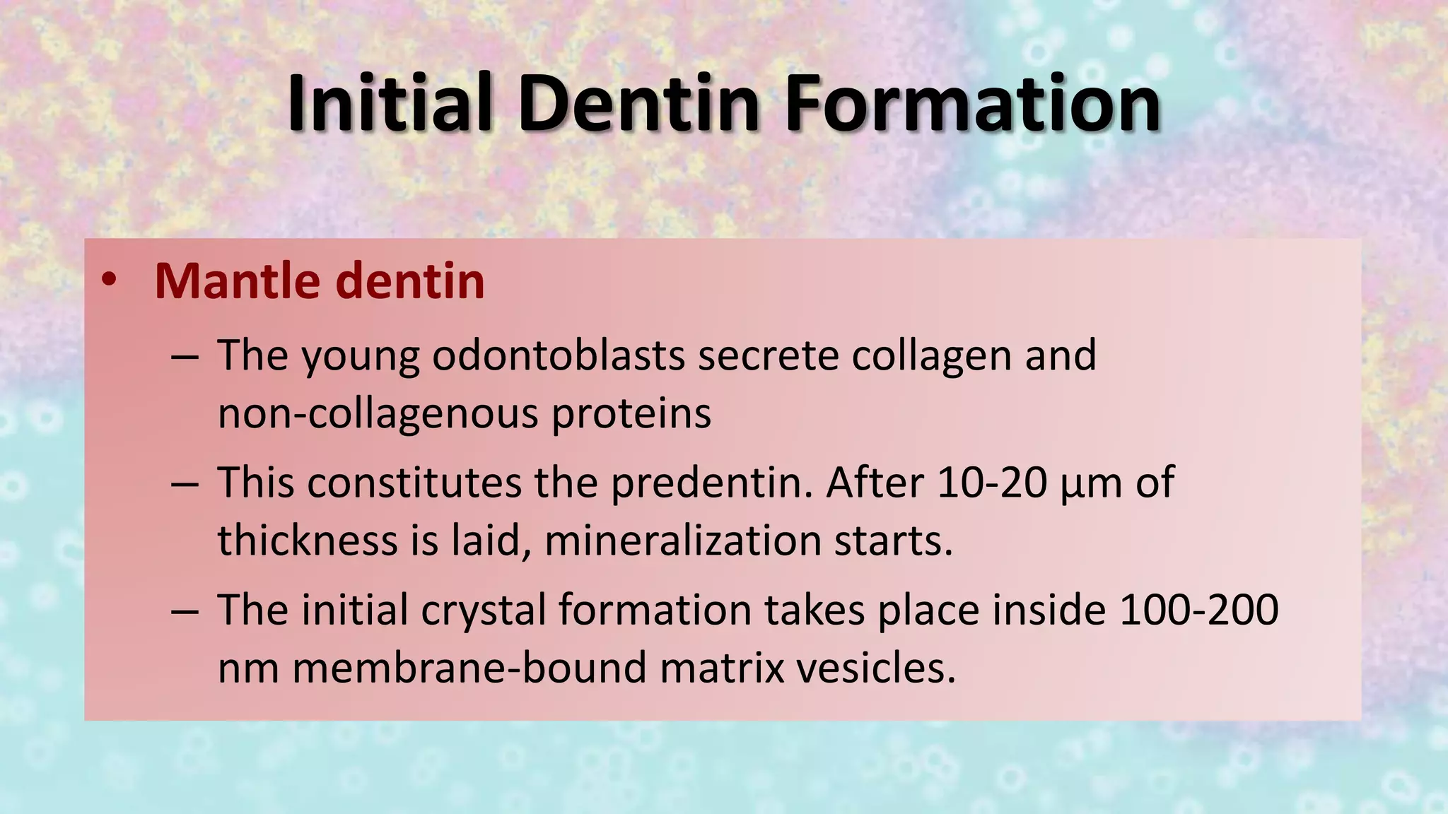 Dentinogenesis _ Lecture | PPTX