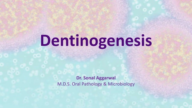 Dentinogenesis _ Lecture | PPTX | Dental Health | Diseases and Conditions