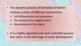 Dentinogenesis _ Lecture | PPTX