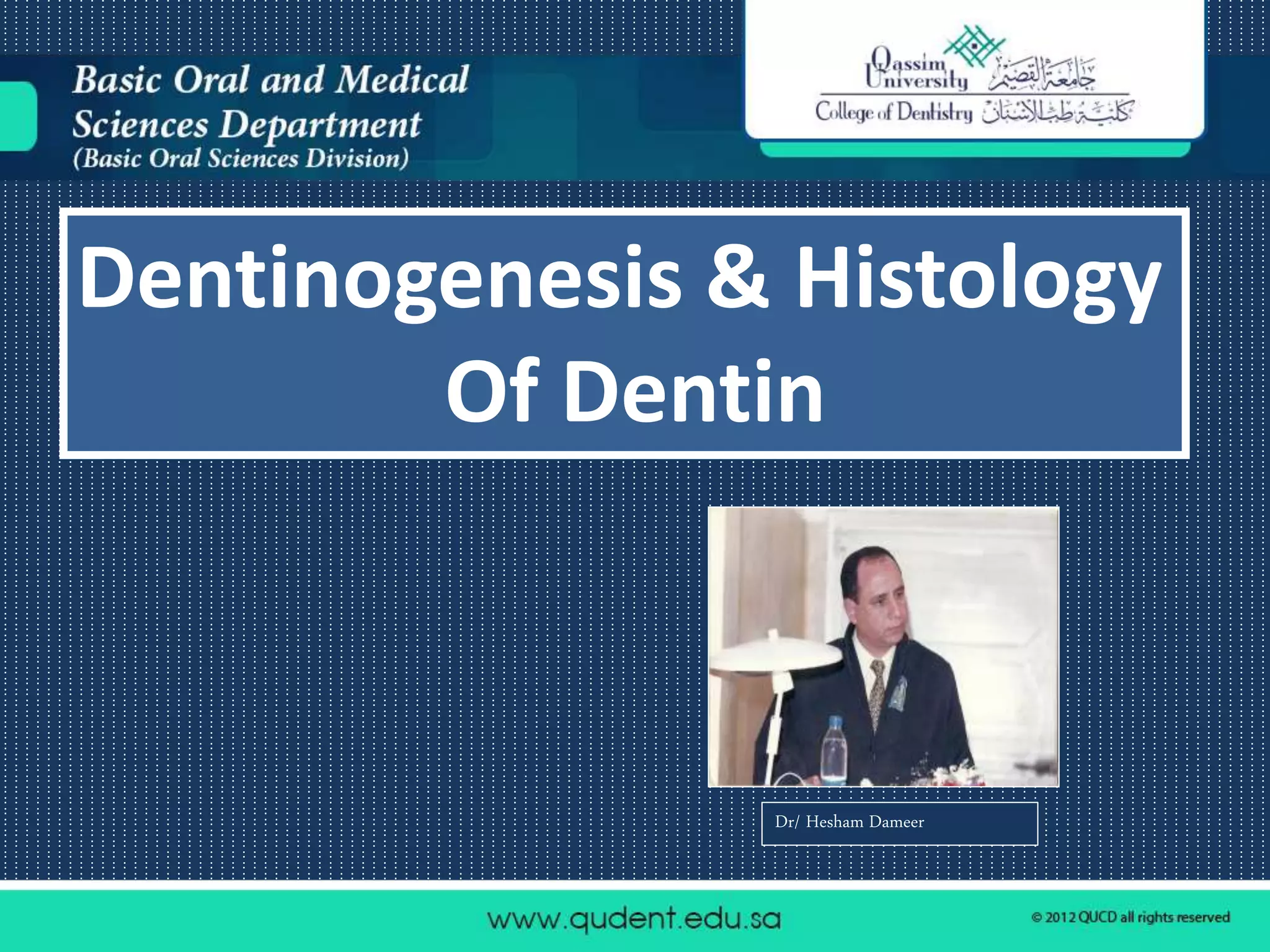 Dentinogenesis & histology of dentin | PPT