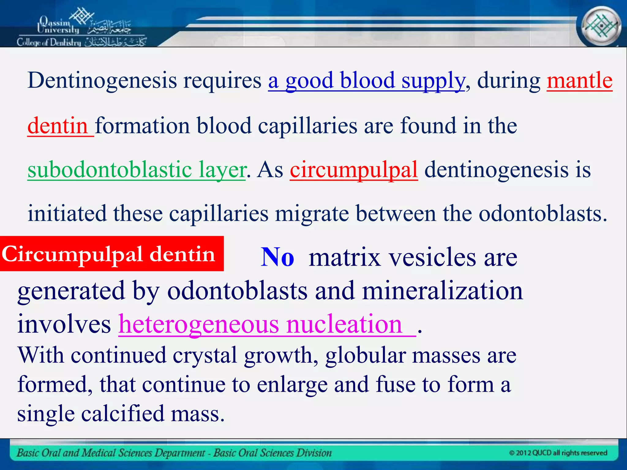 Dentinogenesis & histology of dentin | PPT