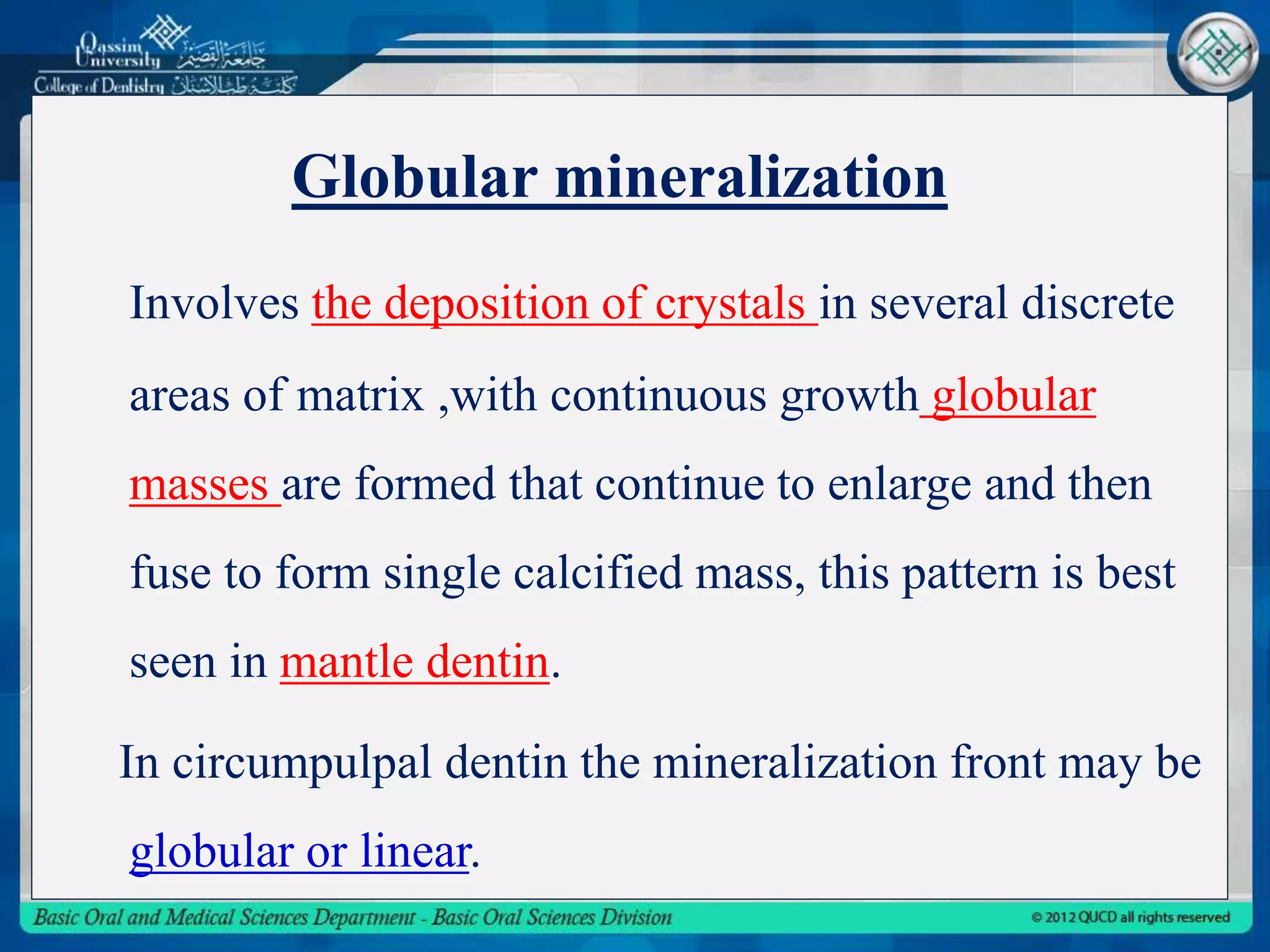 Dentinogenesis & histology of dentin | PPT