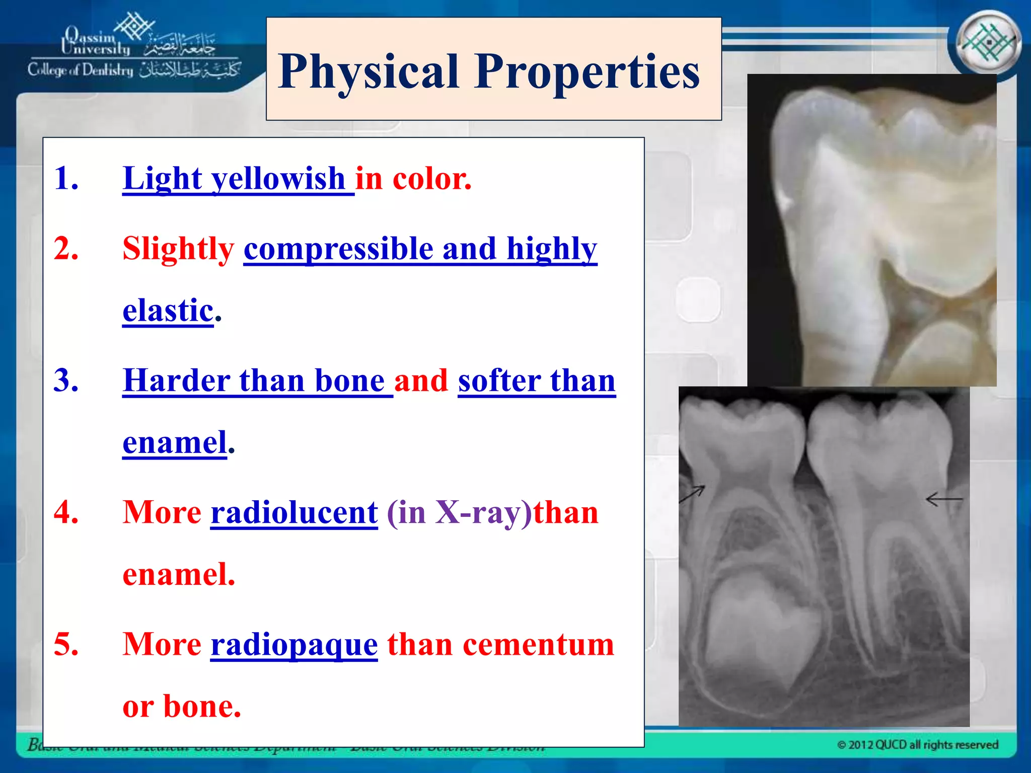 Dentinogenesis & histology of dentin | PPT