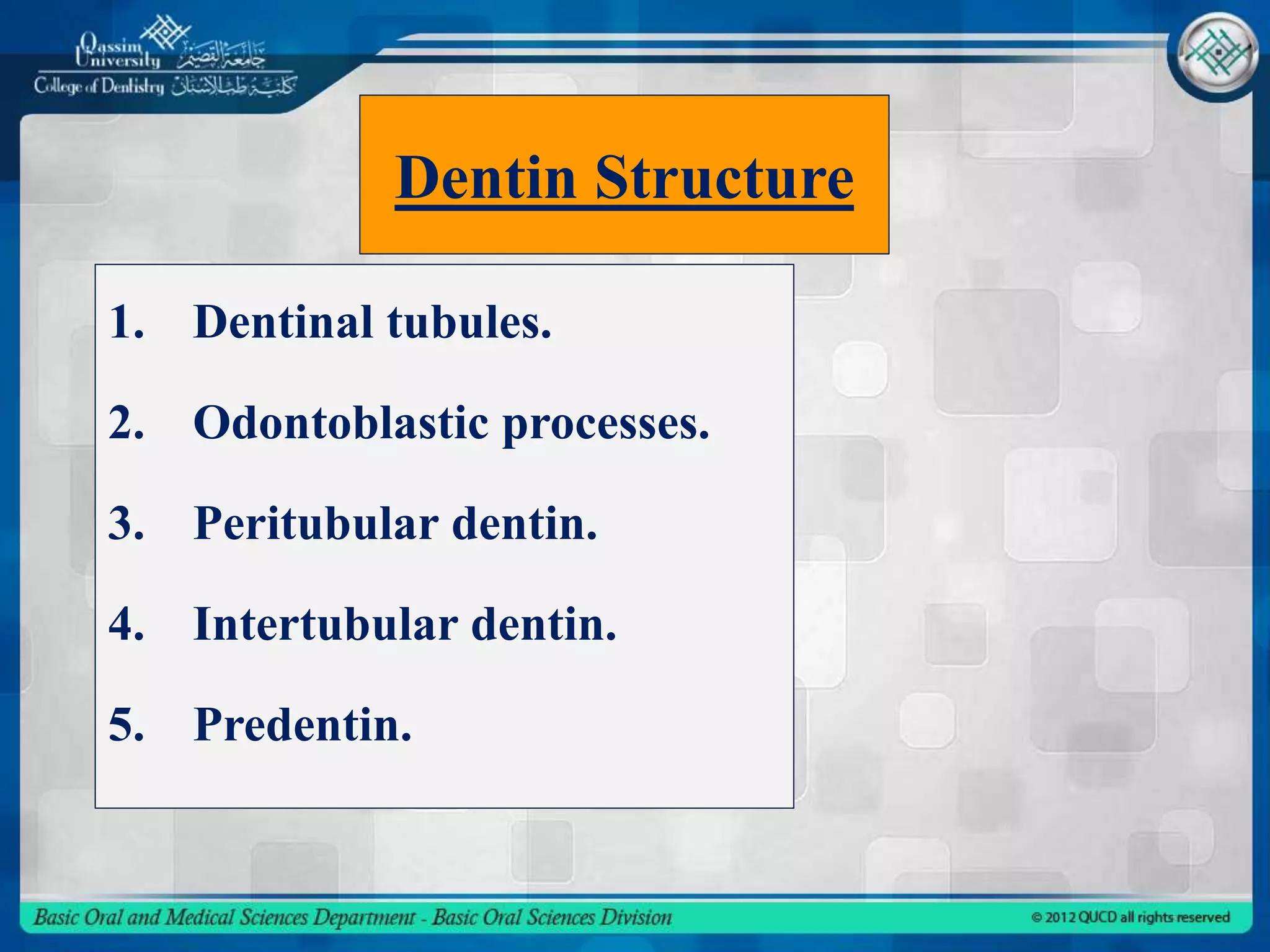 Dentinogenesis & histology of dentin | PPT