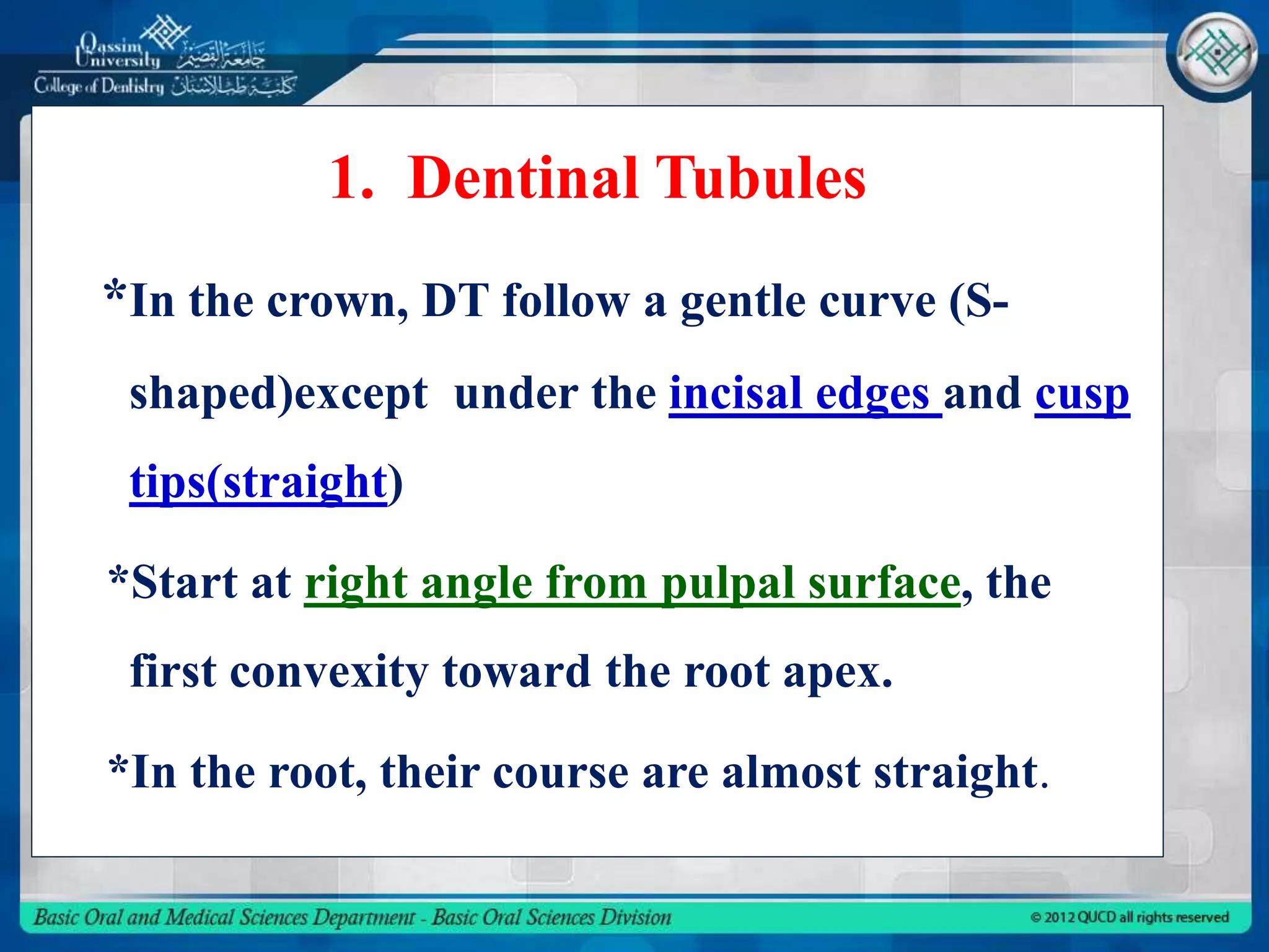 Dentinogenesis & histology of dentin | PPT