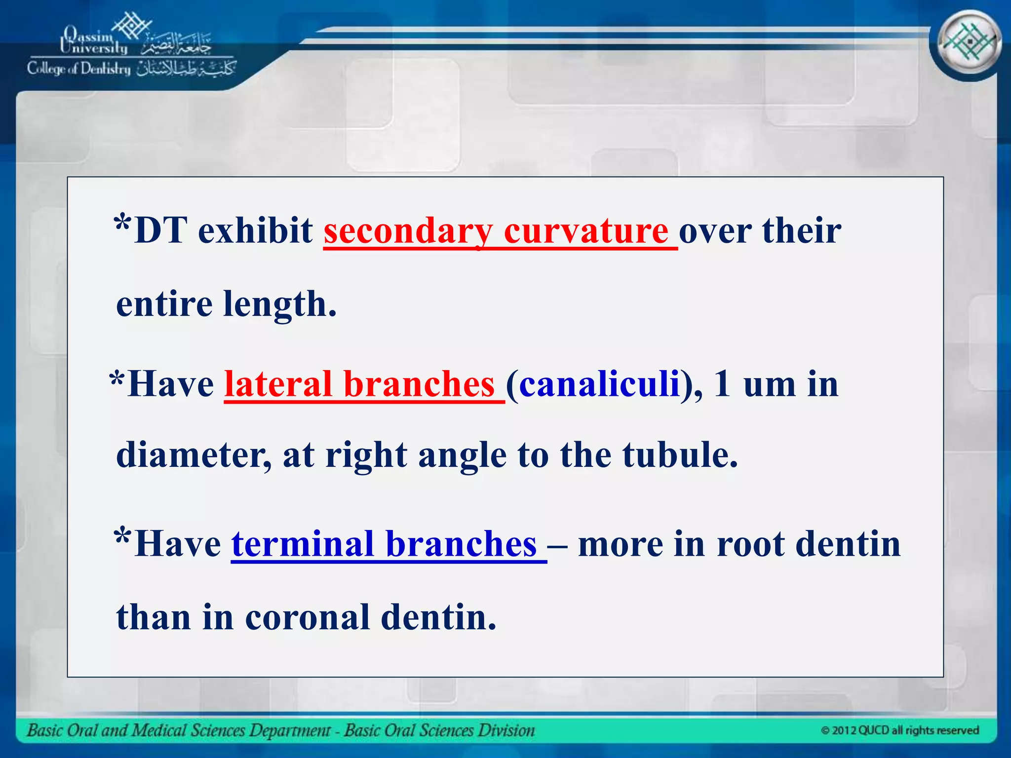 Dentinogenesis & histology of dentin | PPT