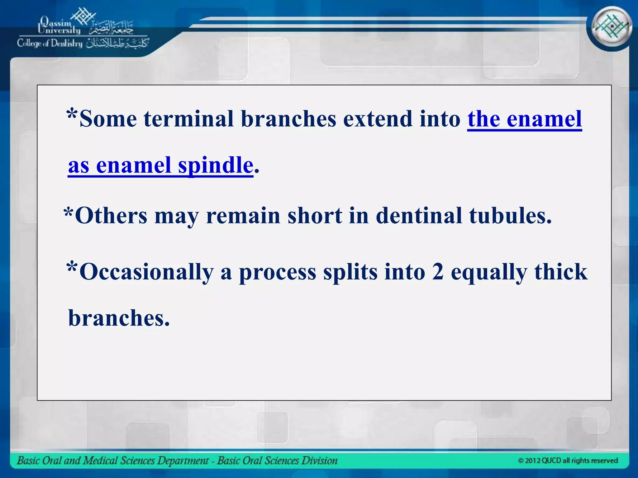 Dentinogenesis & histology of dentin | PPT
