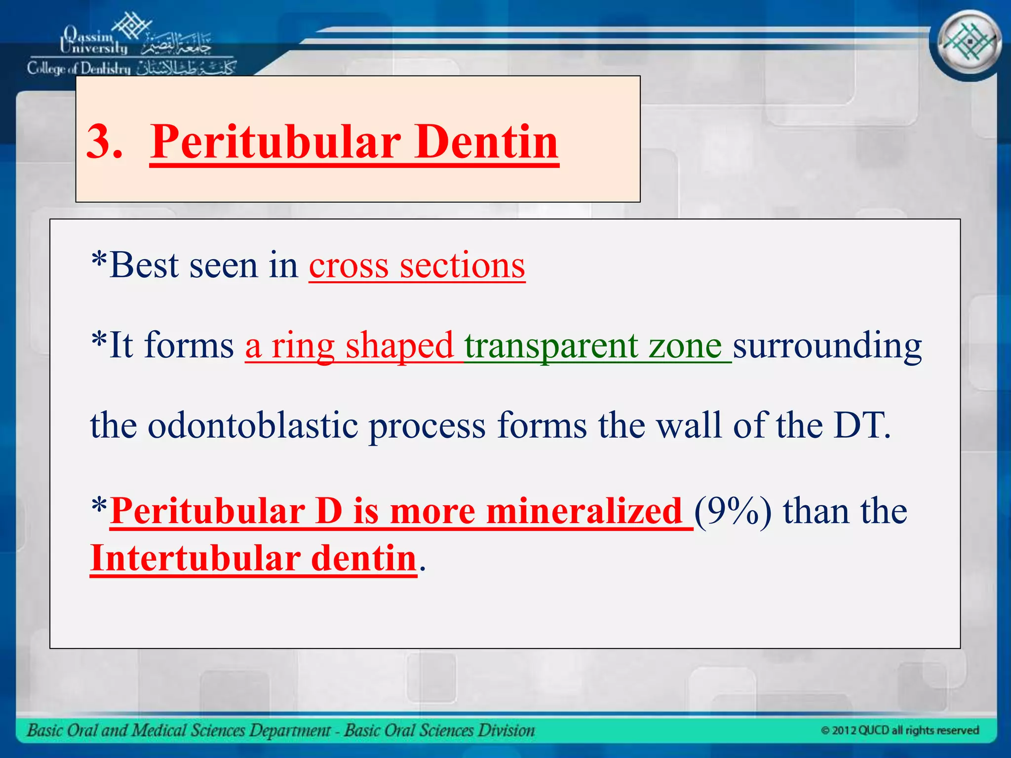 Dentinogenesis & histology of dentin | PPT