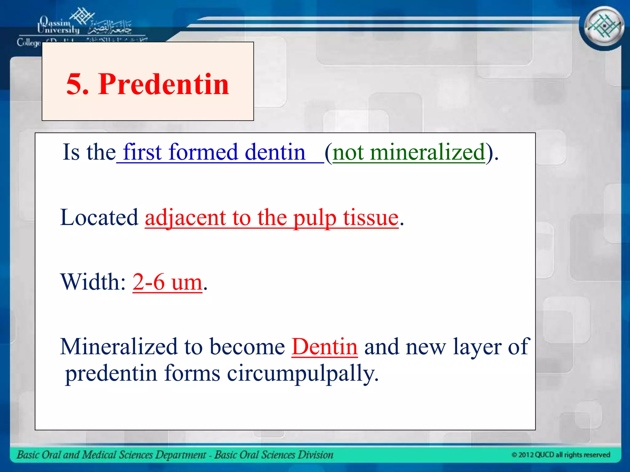 Dentinogenesis & histology of dentin | PPT