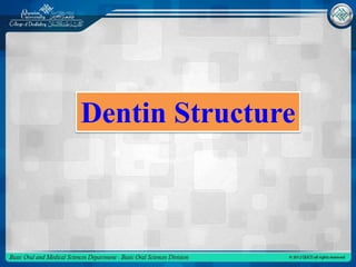 Dentinogenesis & histology of dentin | PPT