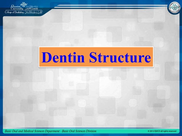 Dentinogenesis & histology of dentin | PPT