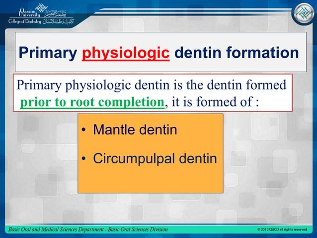 Dentinogenesis & histology of dentin | PPT