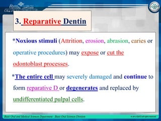 Dentinogenesis & histology of dentin | PPT