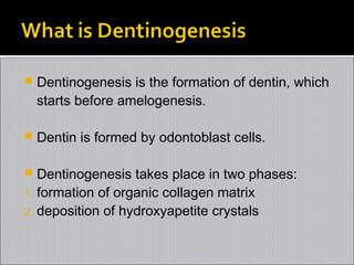 Dentinogenesis imperfecta | PPT | Dental Health | Diseases and Conditions