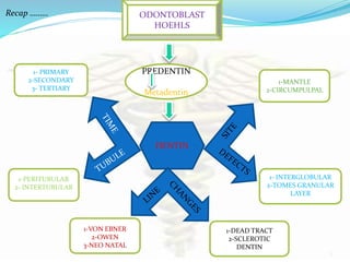 DENTINOGENESIS & DENTIN HYPERSENSITIVITY | PPTX | Dental Health | Diseases and Conditions
