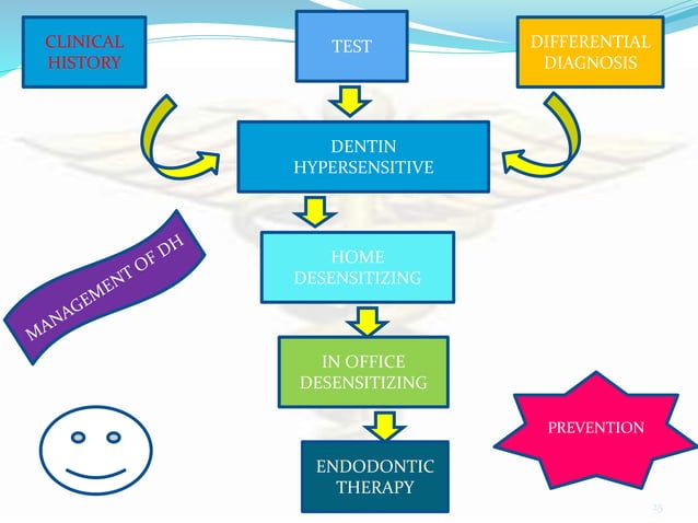 DENTINOGENESIS & DENTIN HYPERSENSITIVITY | PPTX | Dental Health | Diseases and Conditions