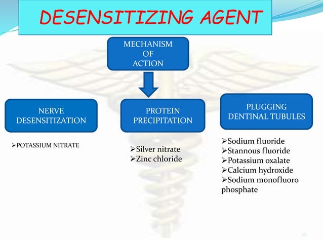 DENTINOGENESIS & DENTIN HYPERSENSITIVITY | PPTX | Dental Health | Diseases and Conditions
