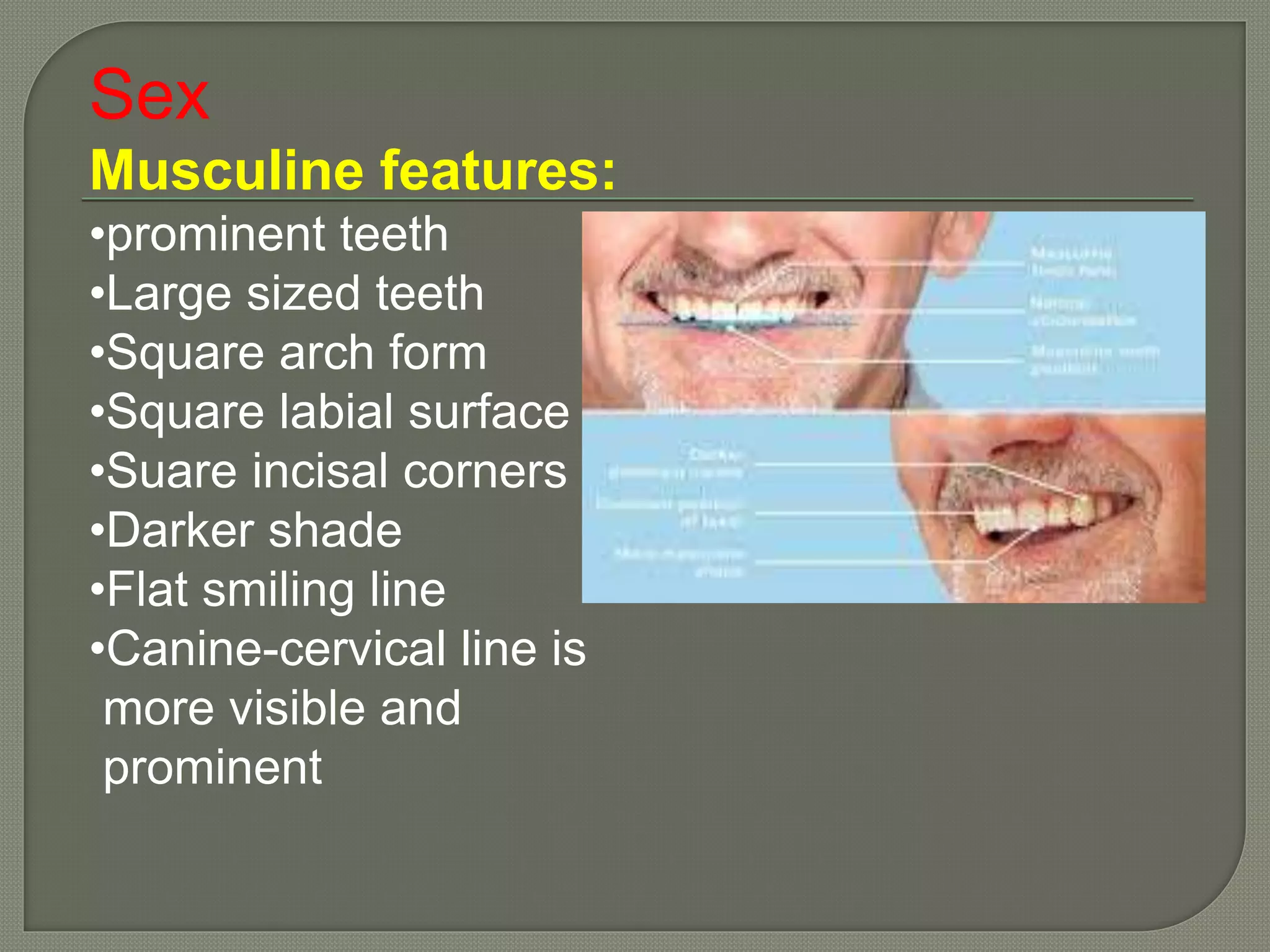 Dentinogenic concept | PPTX