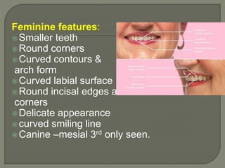 Dentinogenic concept | PPTX