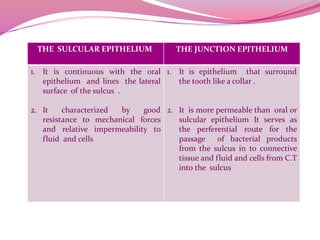 Dentinogingival junction | PPTX