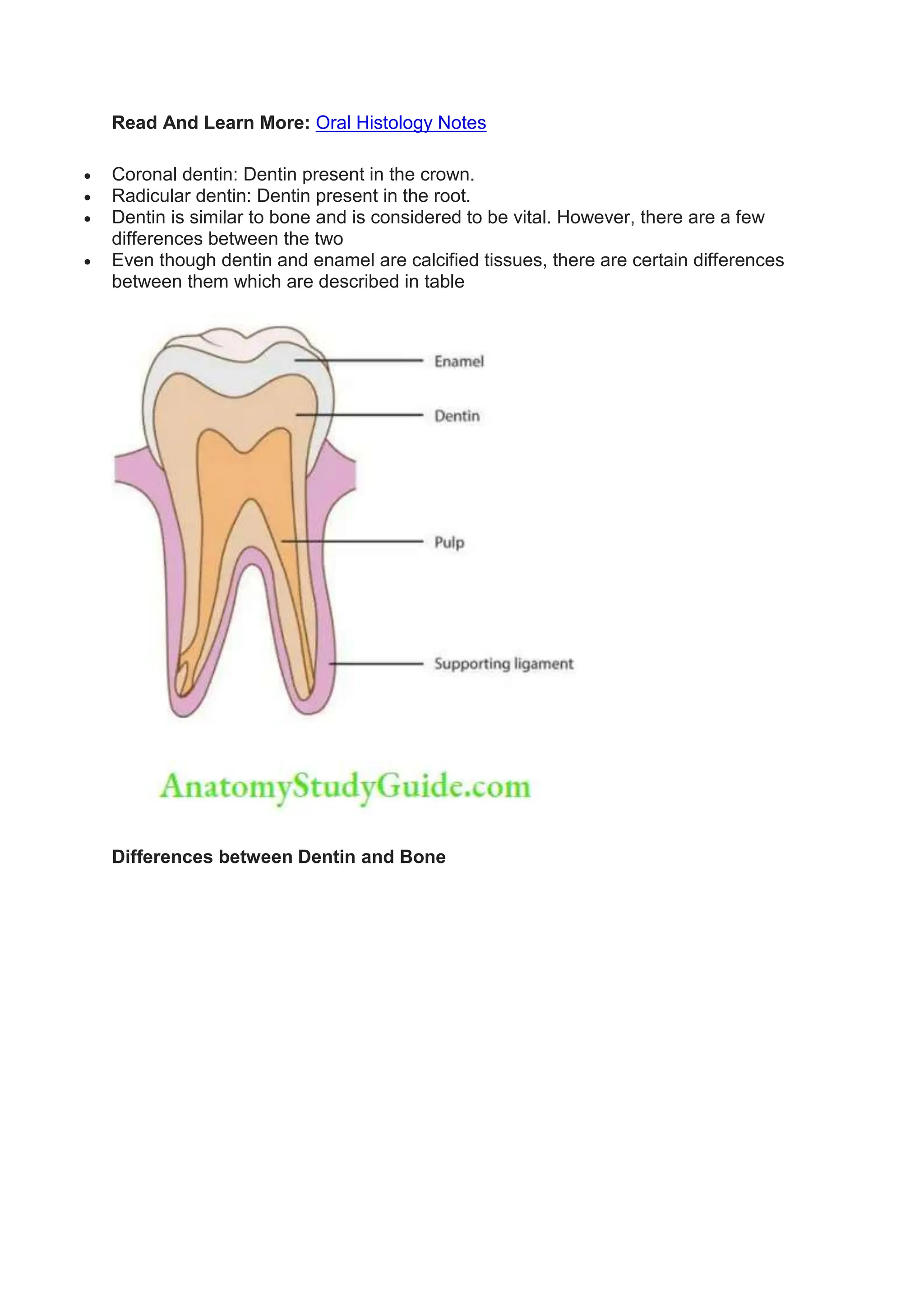 Dentin Oral Histology Notes Dentin Salient Features Of Dentin | DOCX