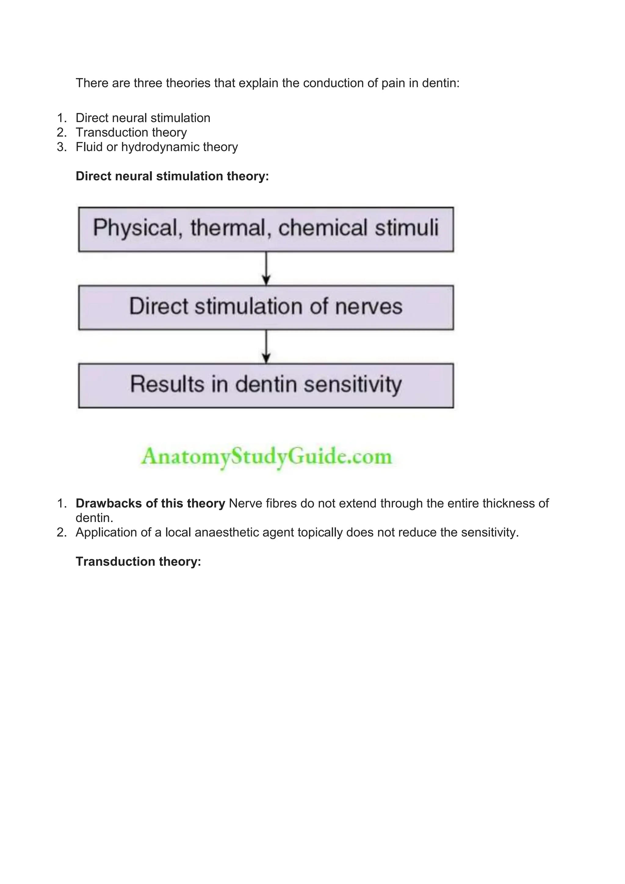 Dentin Oral Histology Notes Dentin Salient Features Of Dentin | DOCX