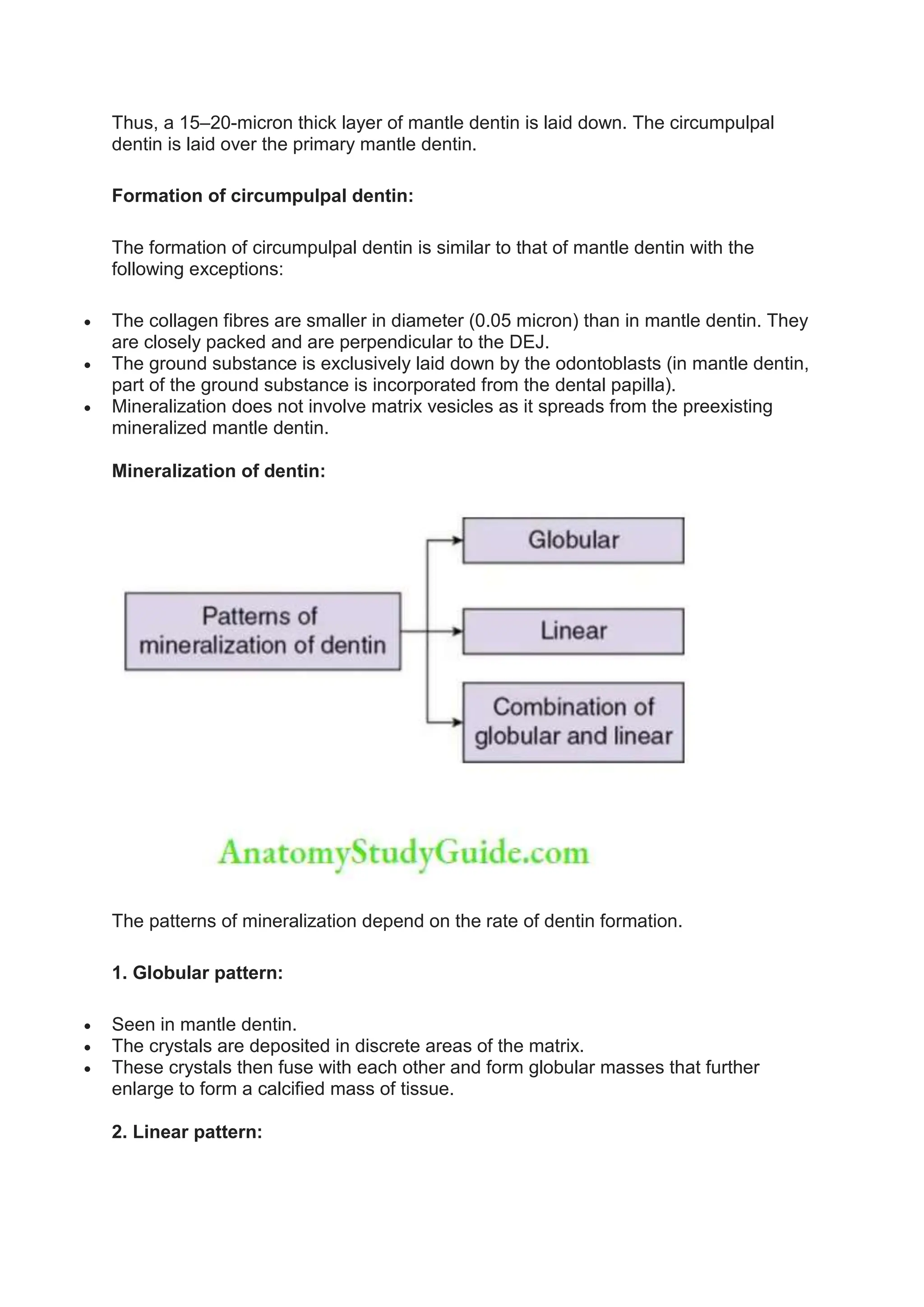 Dentin Oral Histology Notes Dentin Salient Features Of Dentin | DOCX