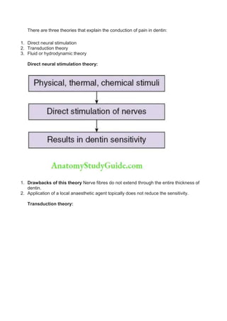 Dentin Oral Histology Notes Dentin Salient Features Of Dentin | DOCX
