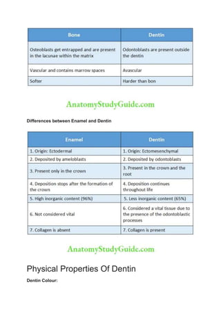 Dentin Oral Histology Notes Dentin Salient Features Of Dentin | DOCX