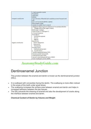 Dentin Oral Histology Notes Dentin Salient Features Of Dentin | DOCX