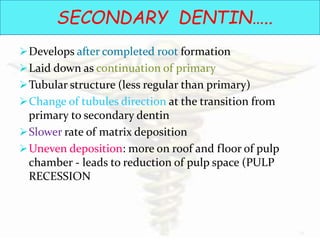 DENTIN (The facts and mysteries) | PPT