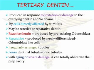 DENTIN (The facts and mysteries) | PPTX