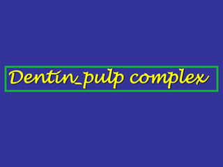 Dentin pulp complex | PPTX
