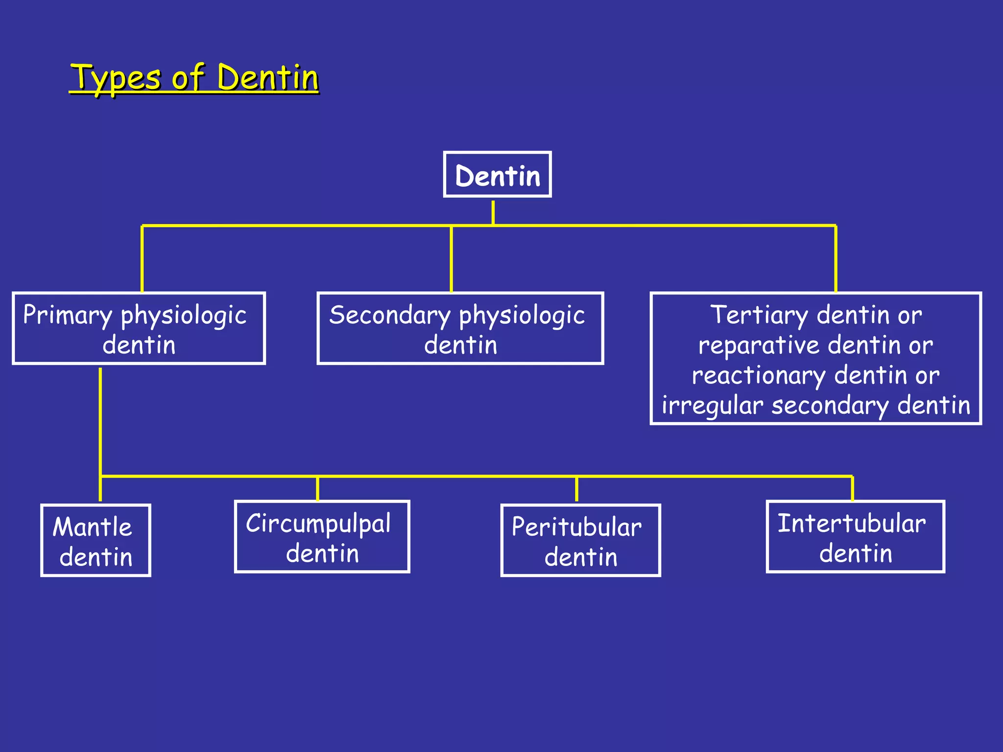 Dentin pulp complex | PPT