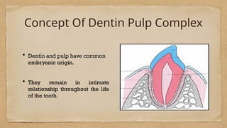 Dentin Pulp complex.pptx