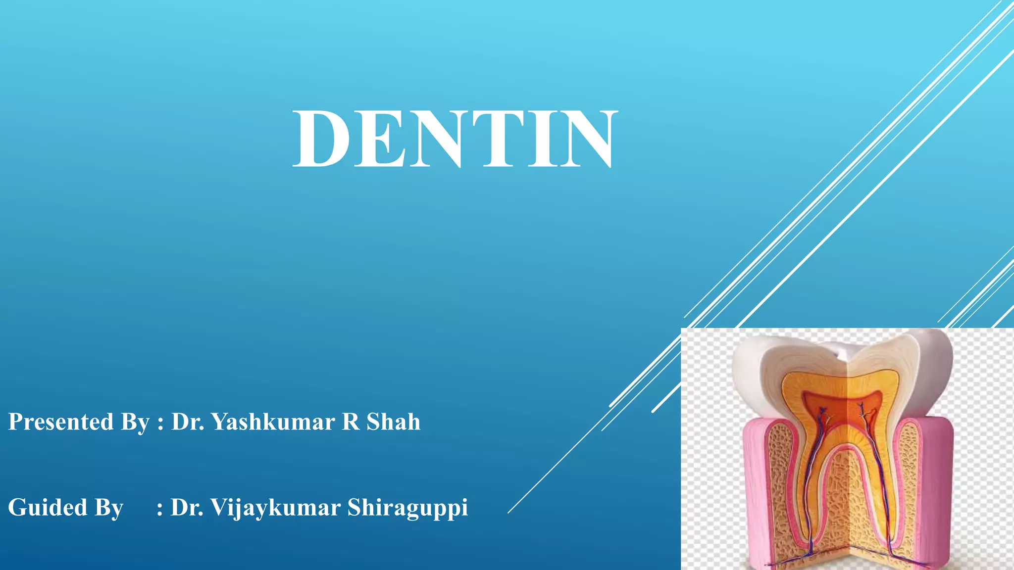 Dentin By Dr Yashkumar Shah | PPTX