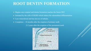 Dentin By Dr Yashkumar Shah | PPTX